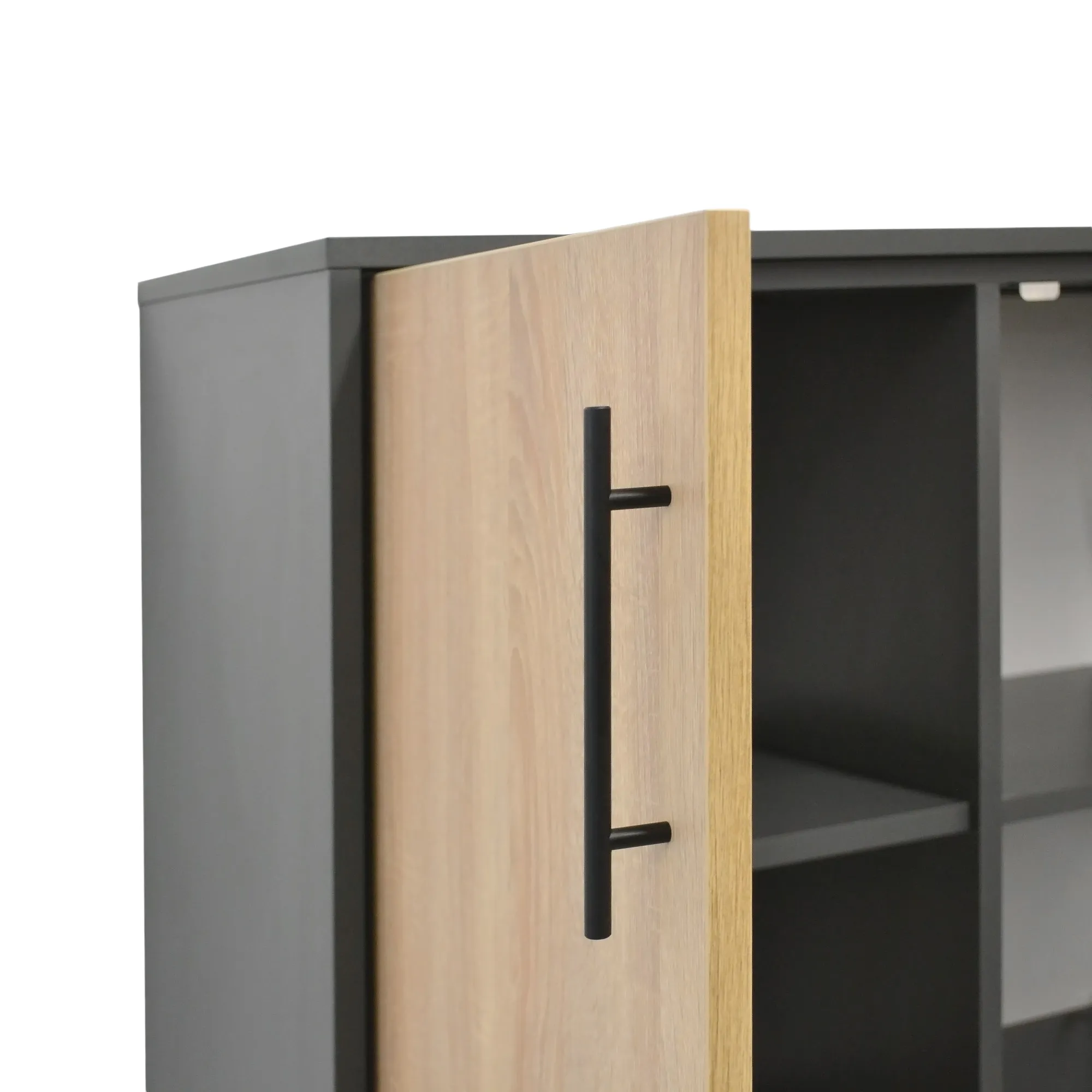 Dulap BIROU cu 2 uși