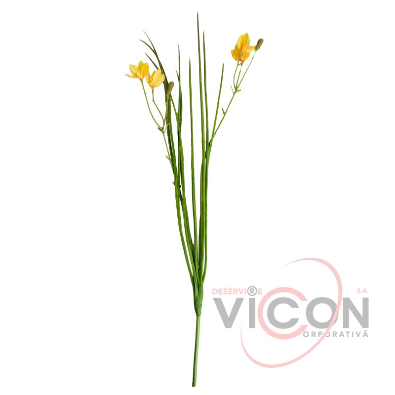 Floare decorativă Iris Galben