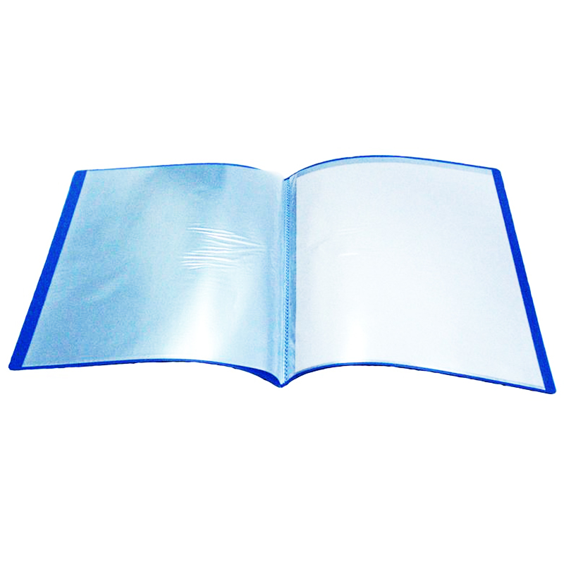 Mapă cu folii transparente, A4, ECONOMIX