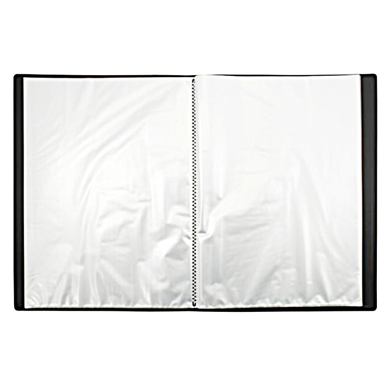 Mapă cu folii transparente, A4, ECONOMIX