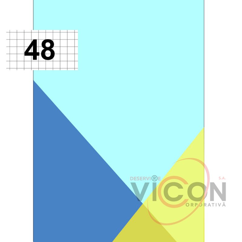 Registru A4, 48 foi, în carouri, copertă color